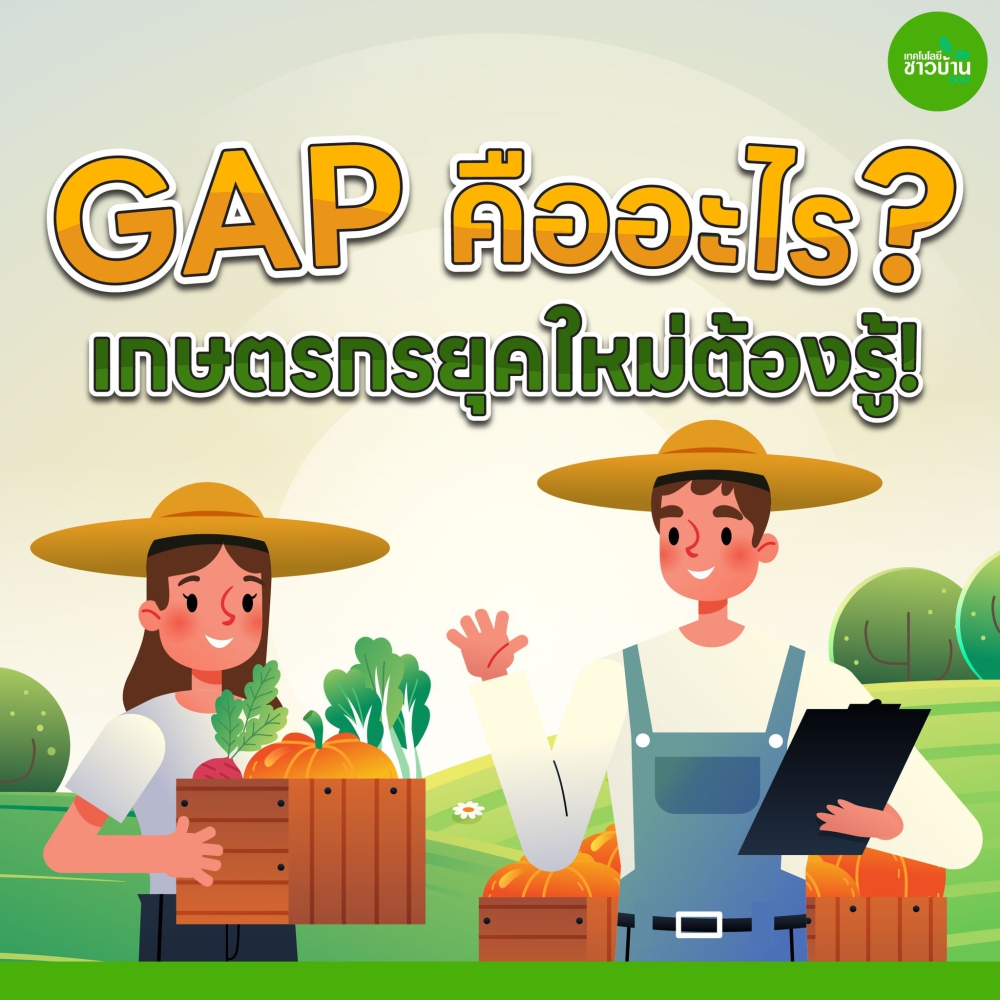 สำนักงานเกษตรและสหกรณ์ จังหวัดราชบุรี