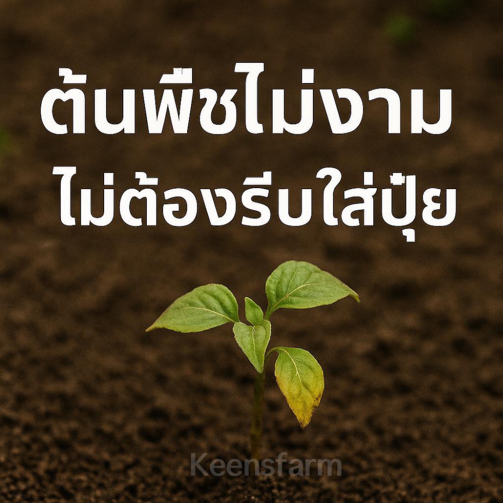 สำนักงานเกษตรและสหกรณ์ จังหวัดพังงา