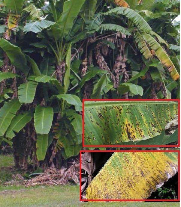 สำนักงานเกษตรและสหกรณ์ จังหวัดเชียงใหม่